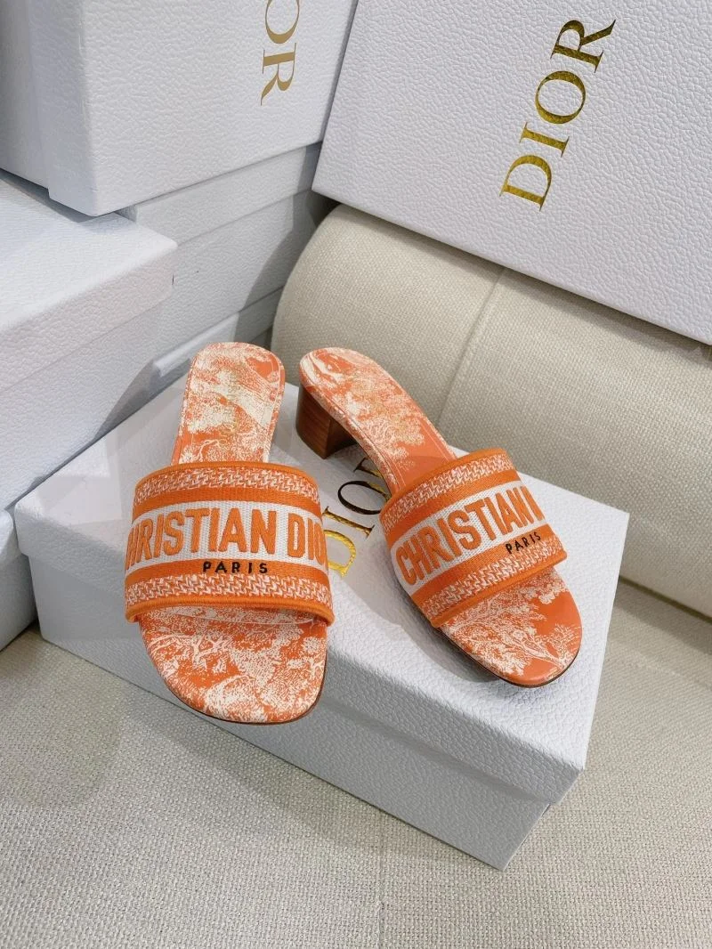 Discounted Christian Dior Slippers