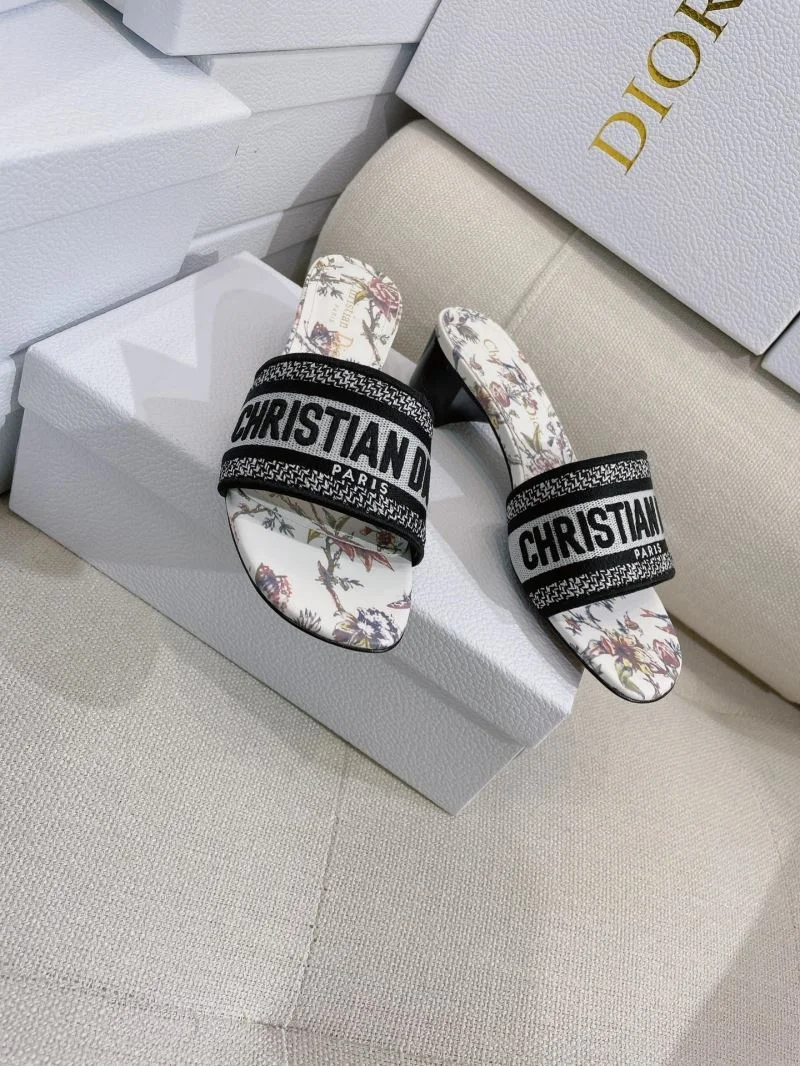 Budget-friendly Christian Dior Slippers
