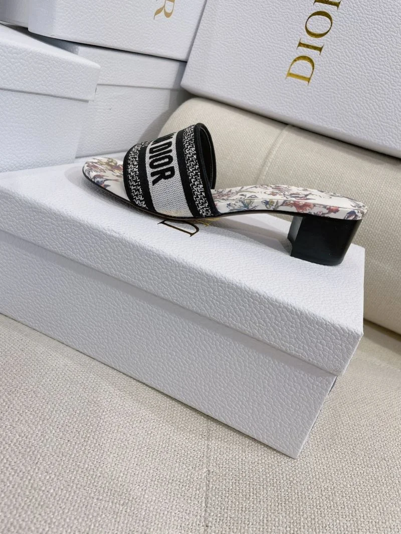 Budget-friendly Christian Dior Slippers