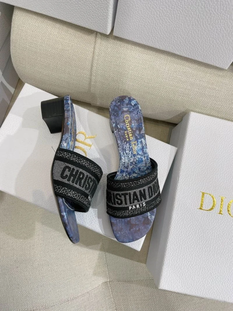 Budget-friendly Christian Dior Slippers