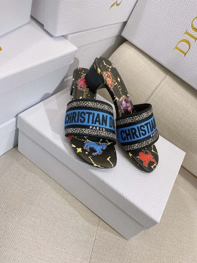 High accuracy Christian Dior Slippers