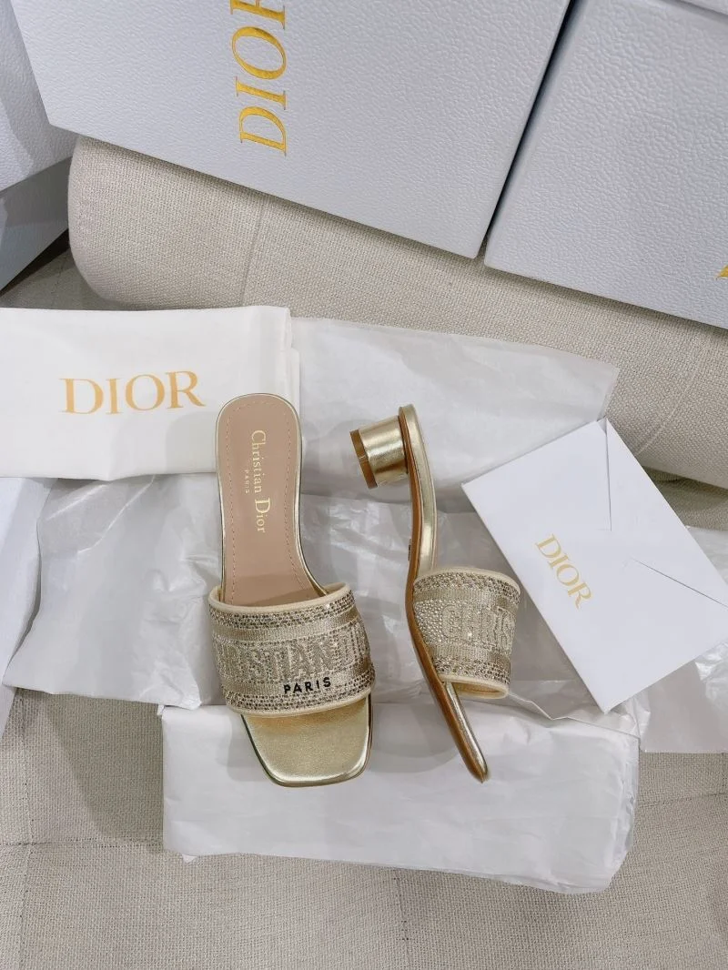 Indistinguishable Christian Dior Slippers