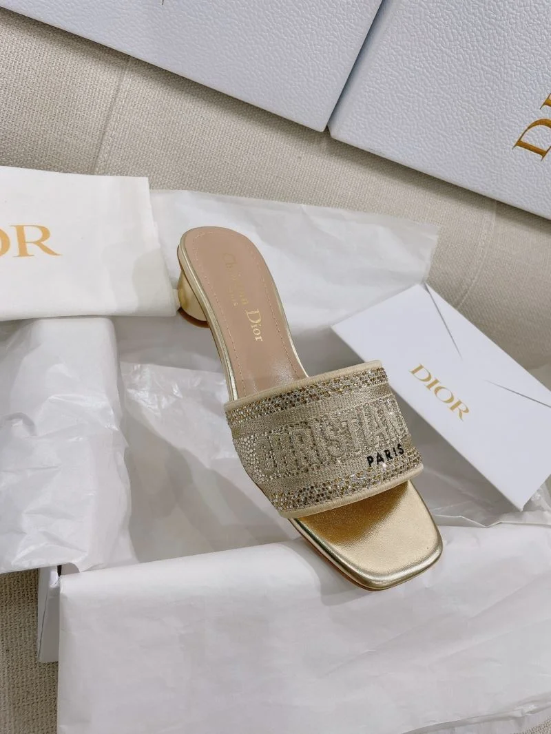 Indistinguishable Christian Dior Slippers