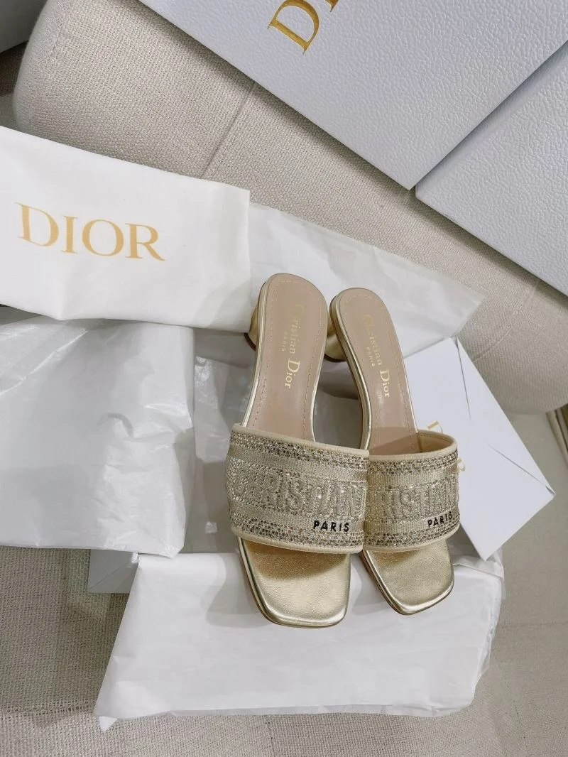 Indistinguishable Christian Dior Slippers