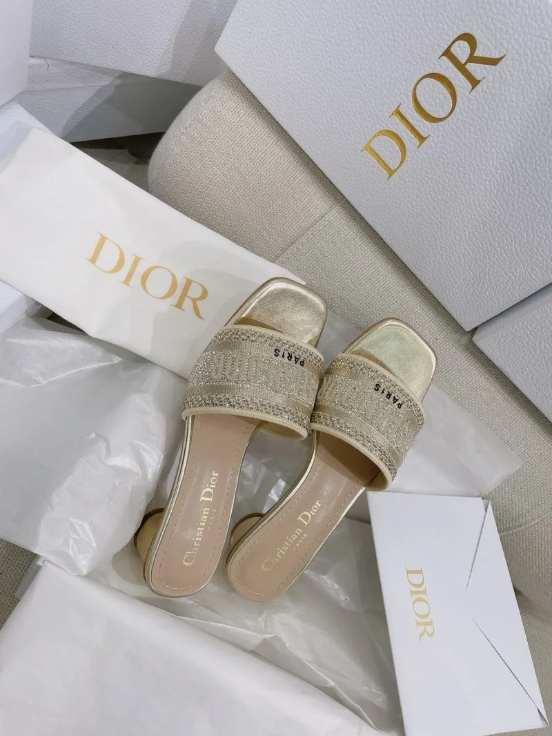 Indistinguishable Christian Dior Slippers