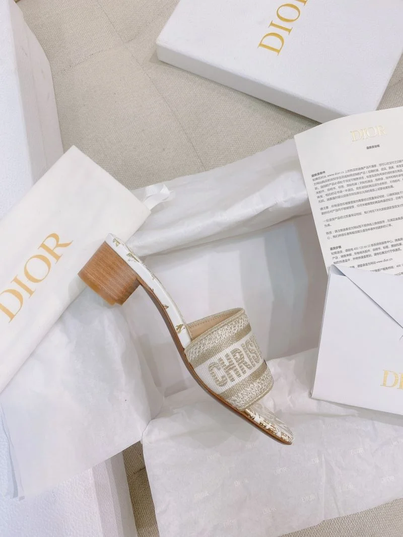 High accuracy Christian Dior Slippers