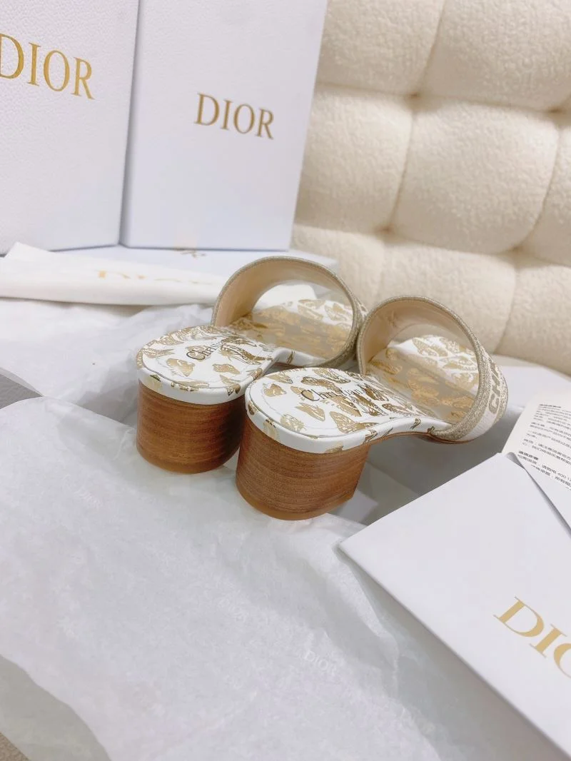 High accuracy Christian Dior Slippers