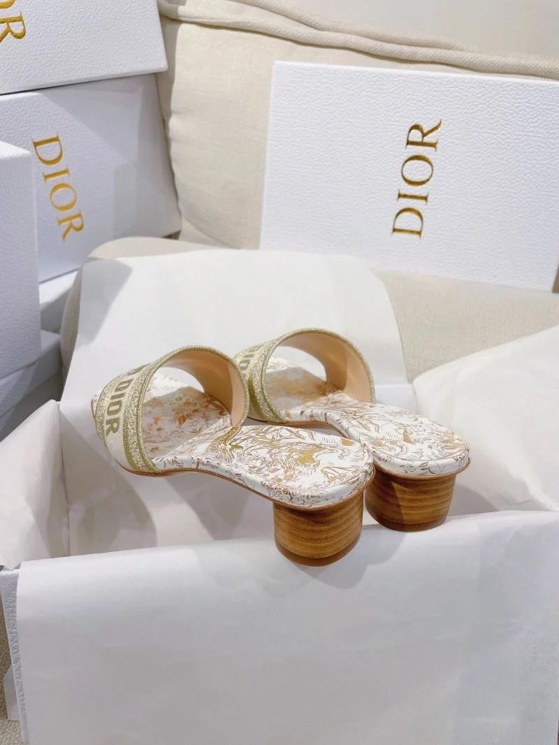 Economical Christian Dior Slippers