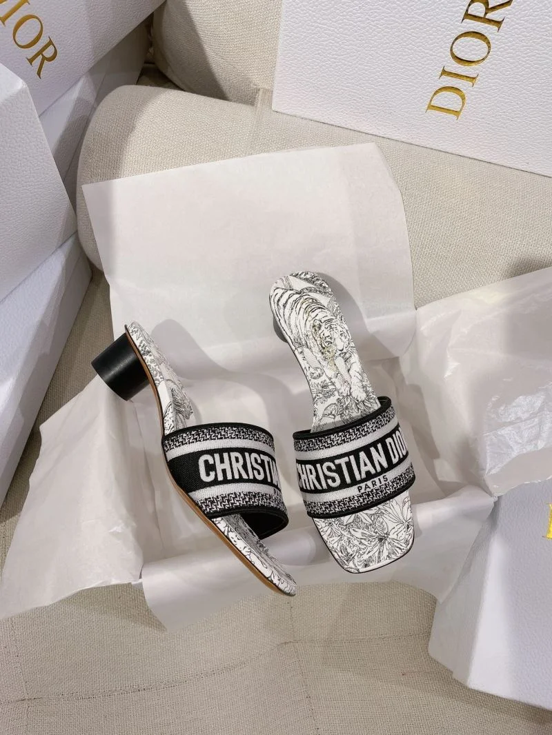 Budget-friendly Christian Dior Slippers
