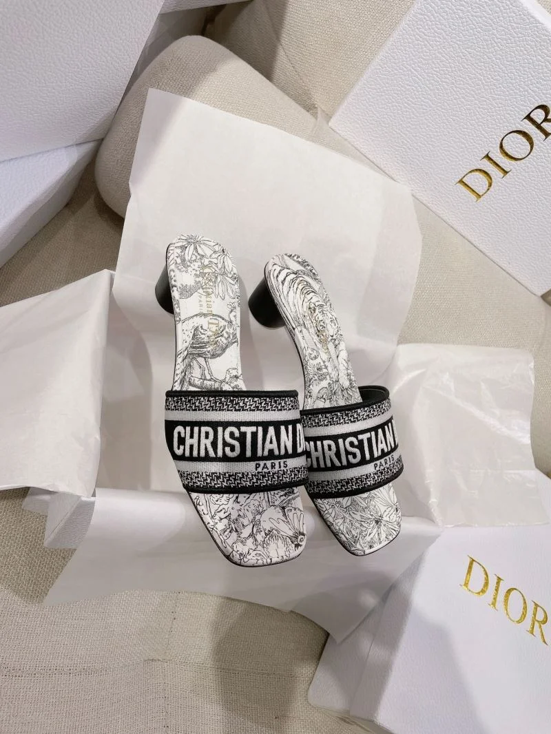 Budget-friendly Christian Dior Slippers