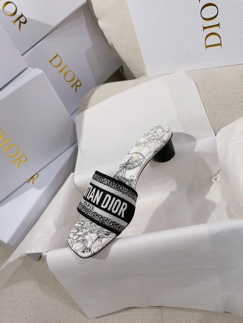 Budget-friendly Christian Dior Slippers
