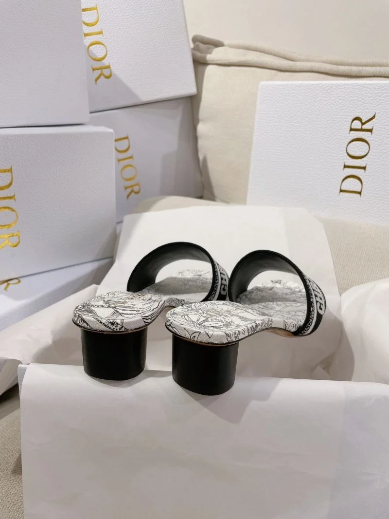 Budget-friendly Christian Dior Slippers