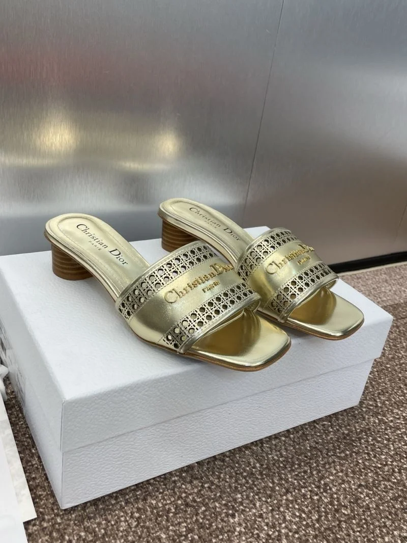 High fidelity Christian Dior Slippers