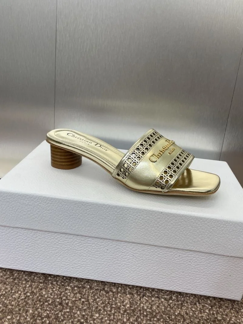 High fidelity Christian Dior Slippers