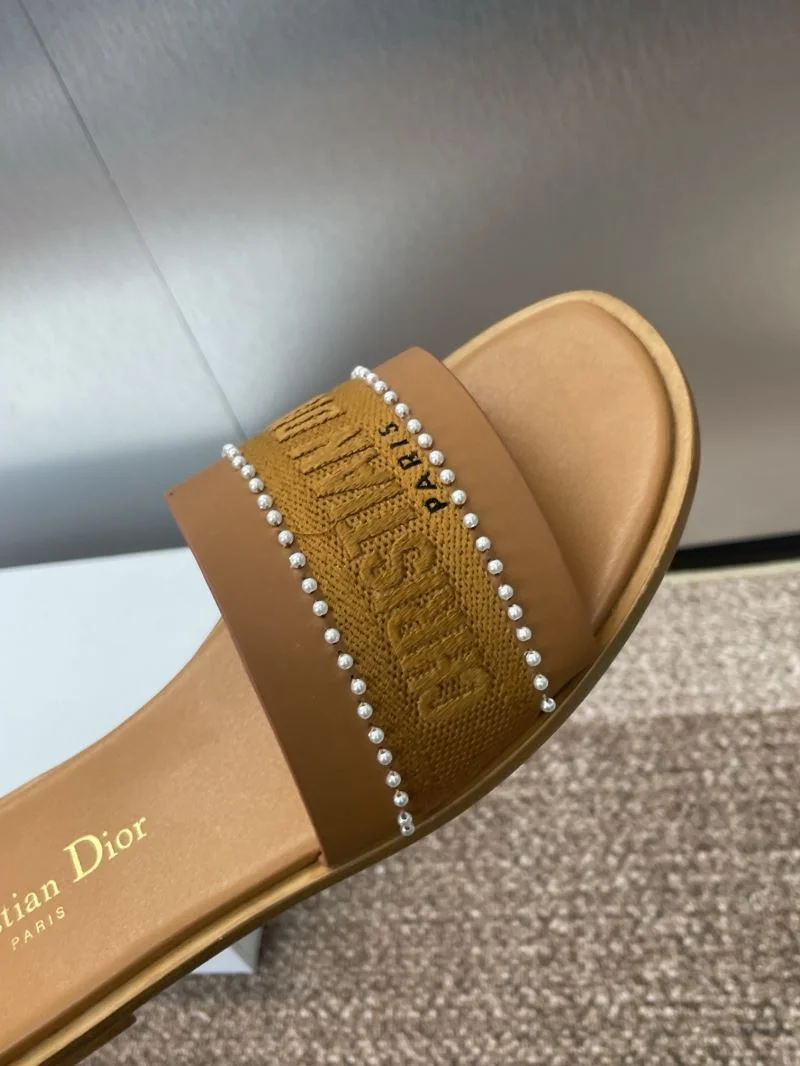 Economical Christian Dior Slippers