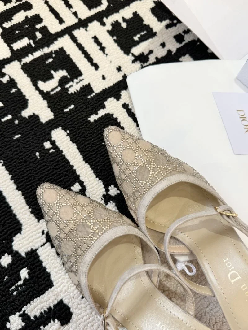 Mirror quality Christian Dior Slippers