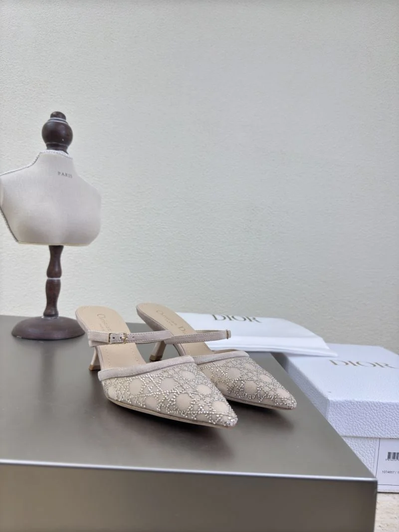 1:1 copy Christian Dior Slippers