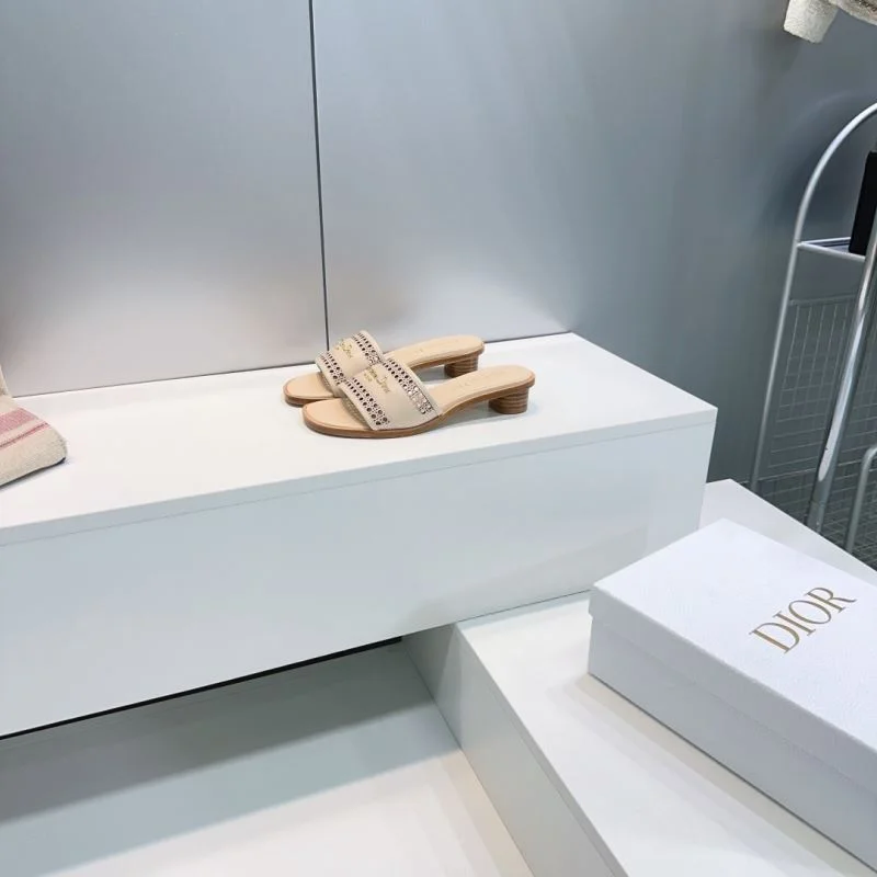 Discounted Christian Dior Slippers