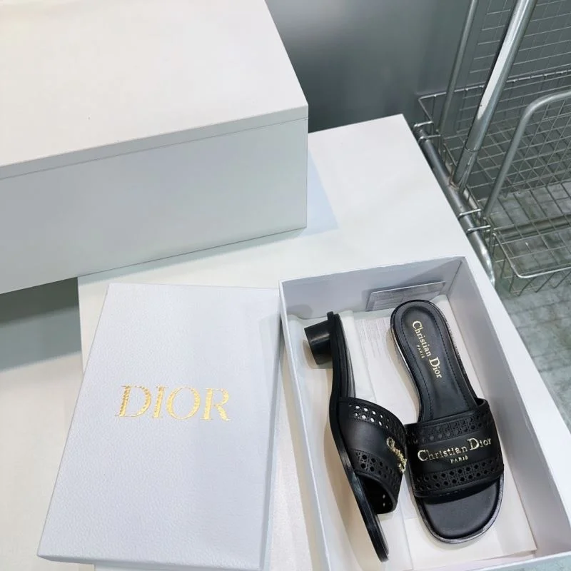 Economical Christian Dior Slippers