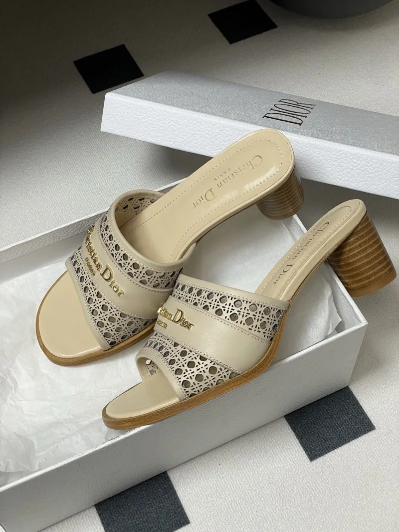 Economical Christian Dior Slippers