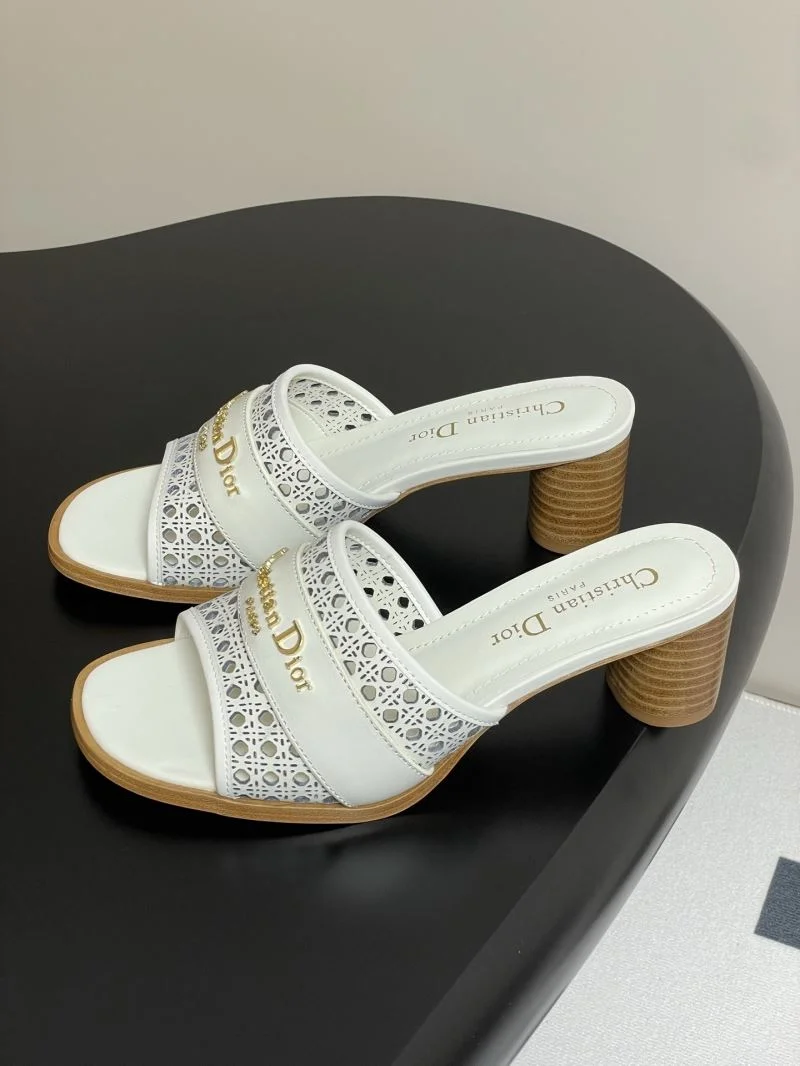 Precise copy Christian Dior Slippers