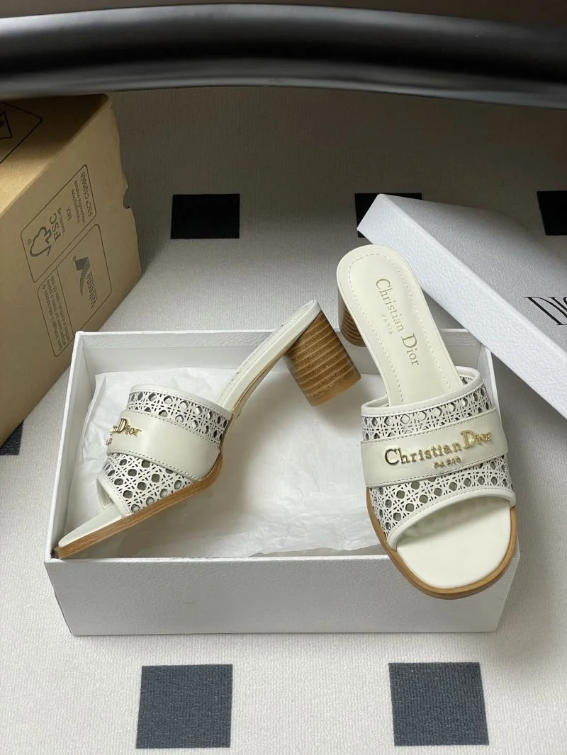 Precise copy Christian Dior Slippers