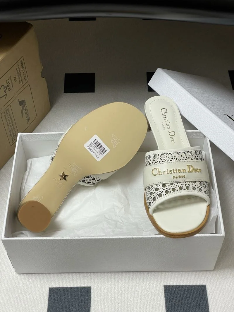 Precise copy Christian Dior Slippers