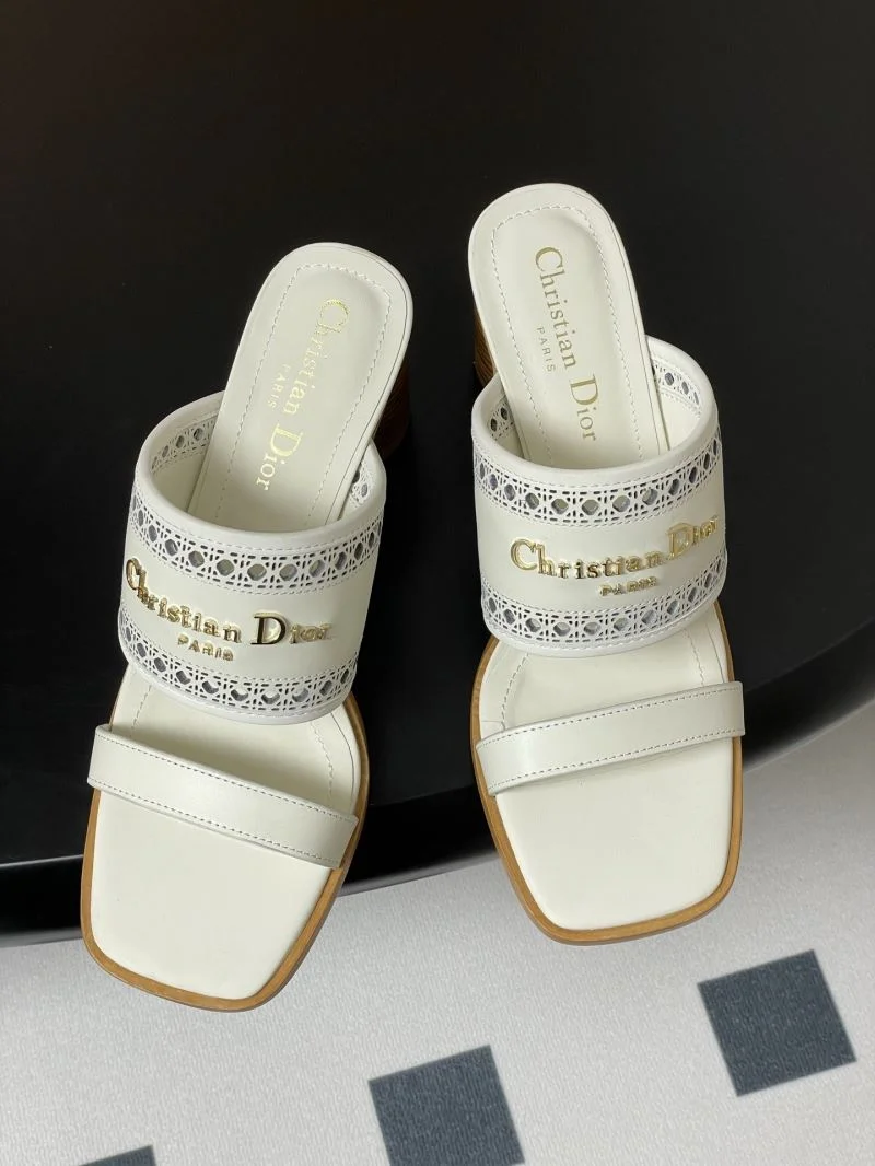 Precise copy Christian Dior Slippers