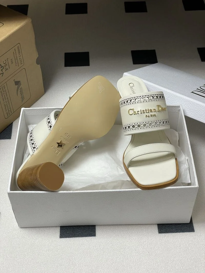 Precise copy Christian Dior Slippers