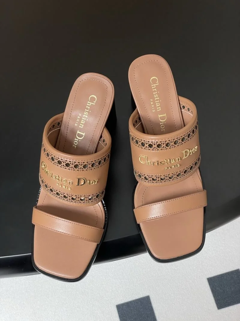 High accuracy Christian Dior Slippers