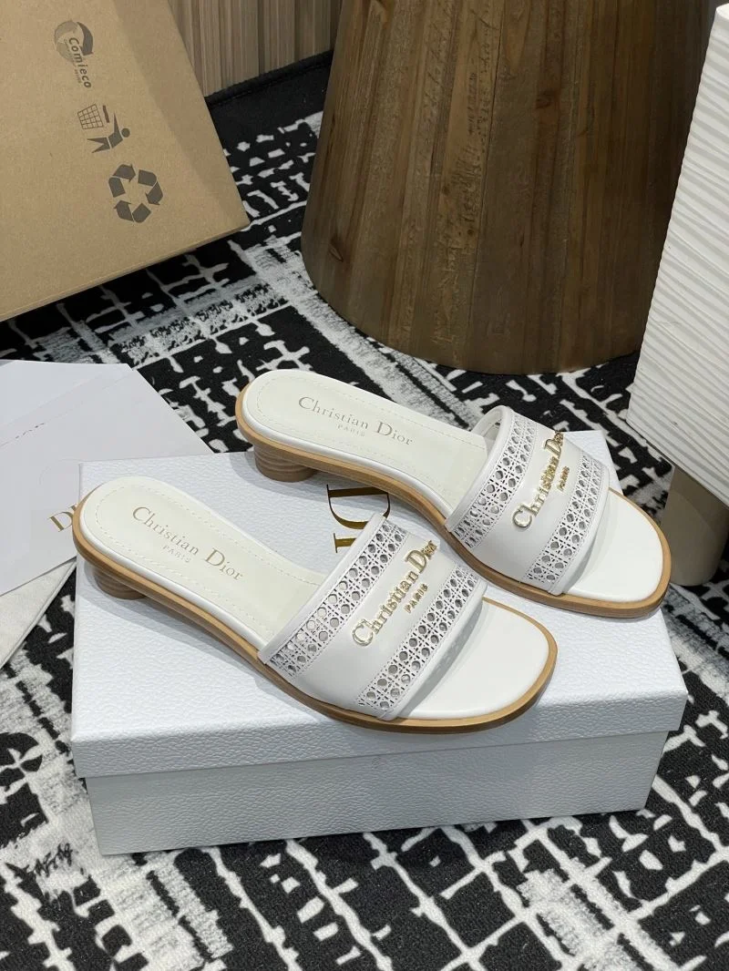 Budget-friendly Christian Dior Slippers