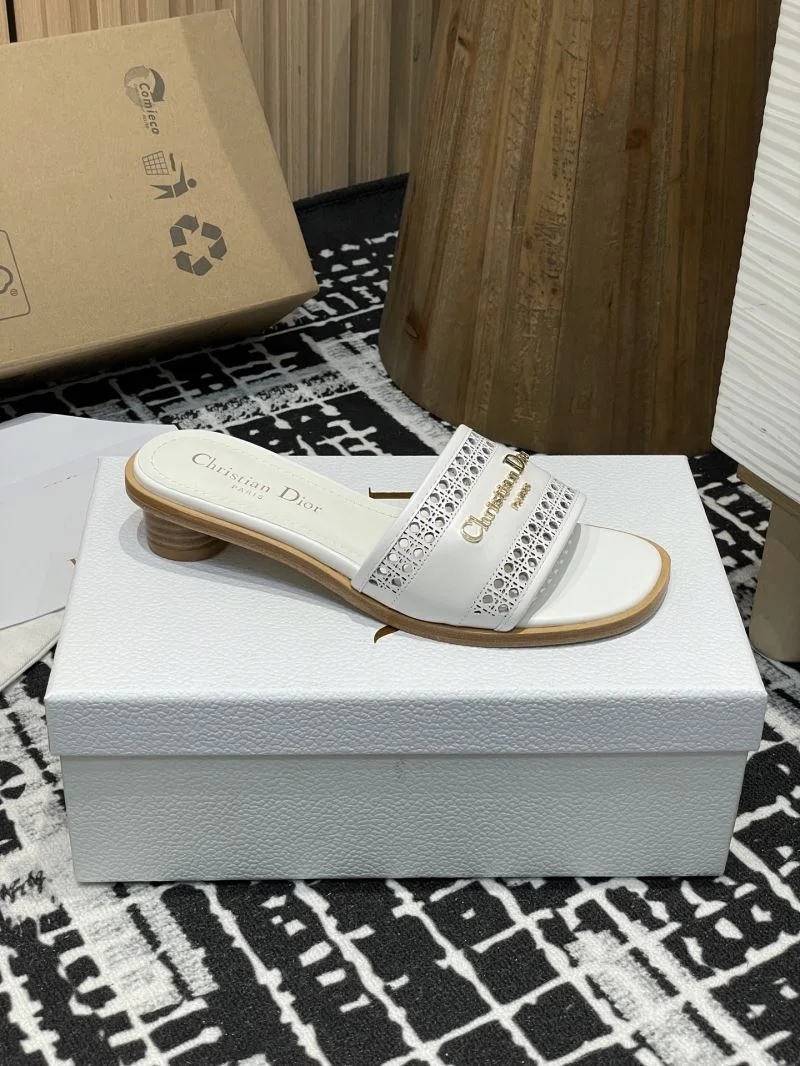 Budget-friendly Christian Dior Slippers