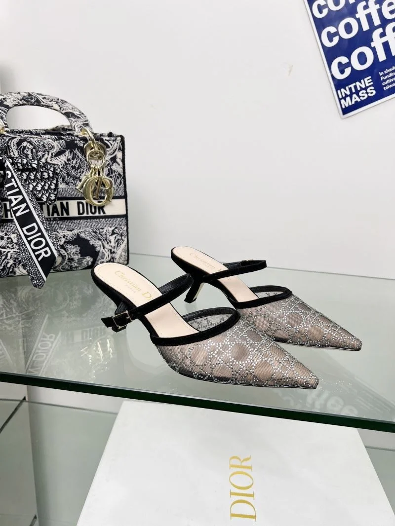 Budget-friendly Christian Dior Slippers
