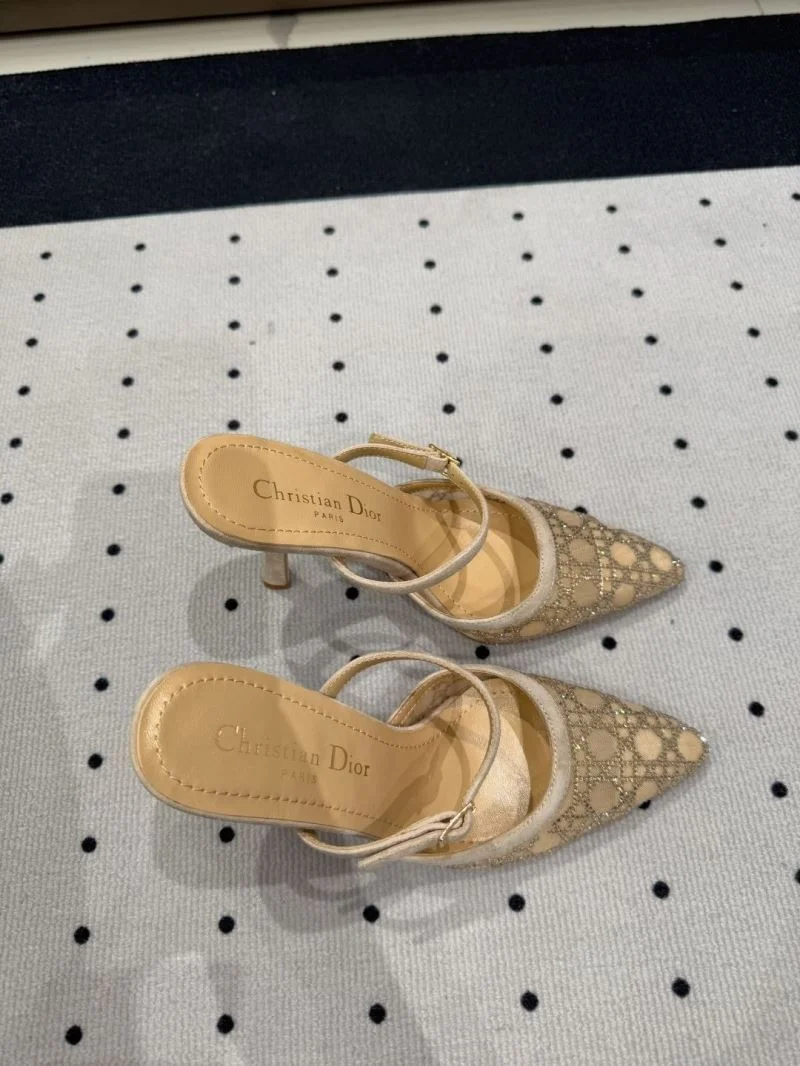 Discounted Christian Dior Slippers
