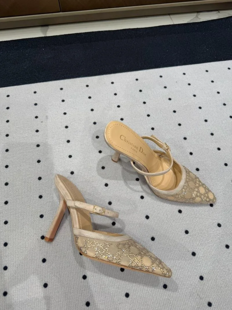 Discounted Christian Dior Slippers