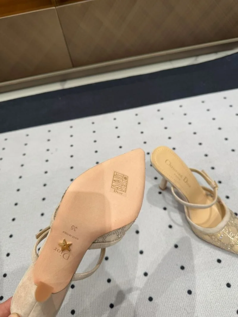 Discounted Christian Dior Slippers