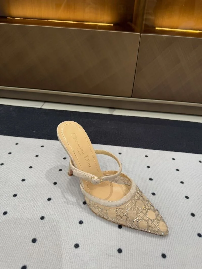 Discounted Christian Dior Slippers