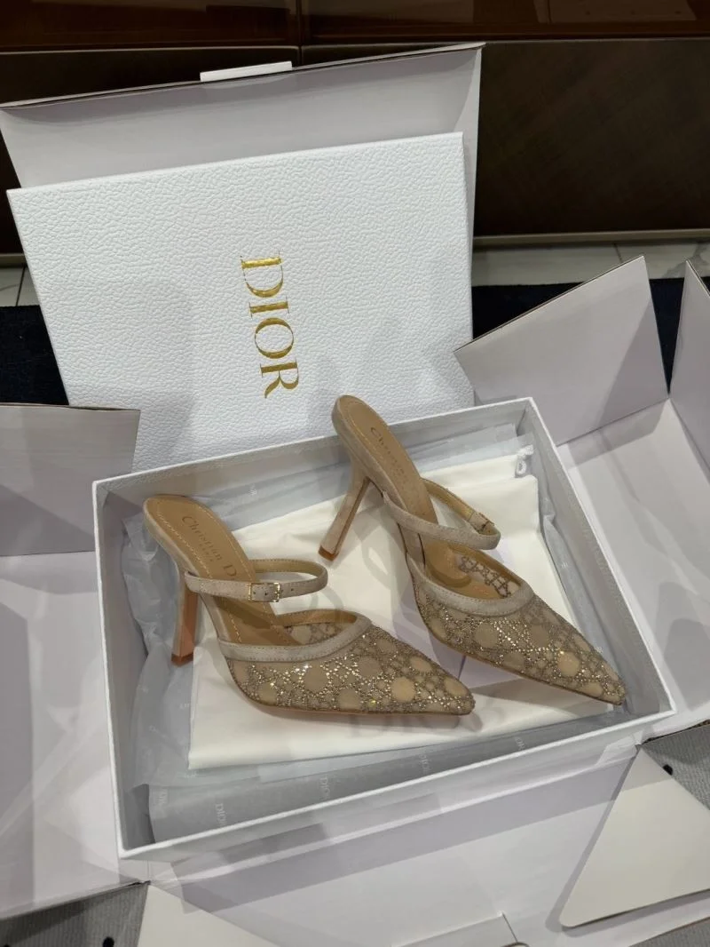 Discounted Christian Dior Slippers