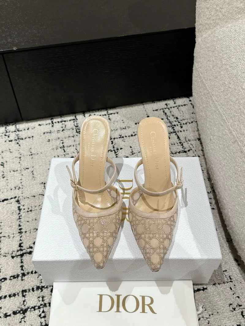 Christian Dior Slippers