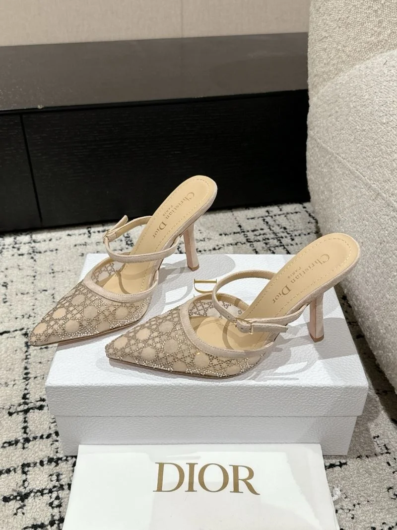 Budget-friendly Christian Dior Slippers