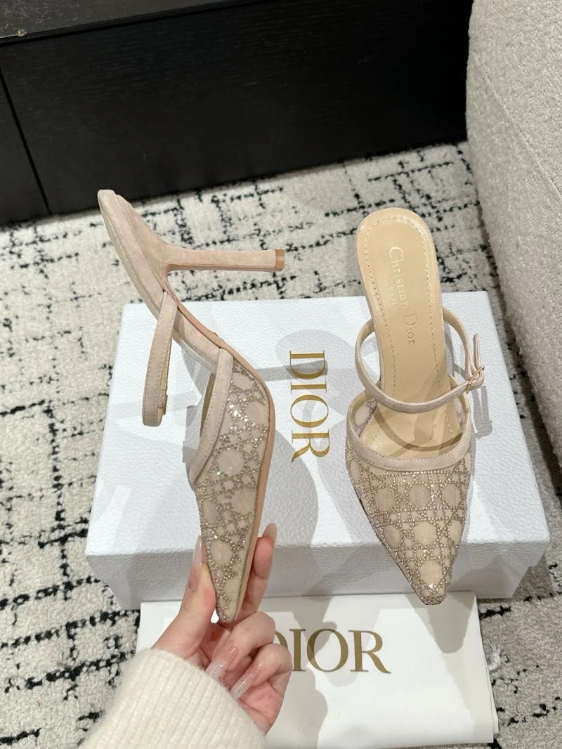 Budget-friendly Christian Dior Slippers