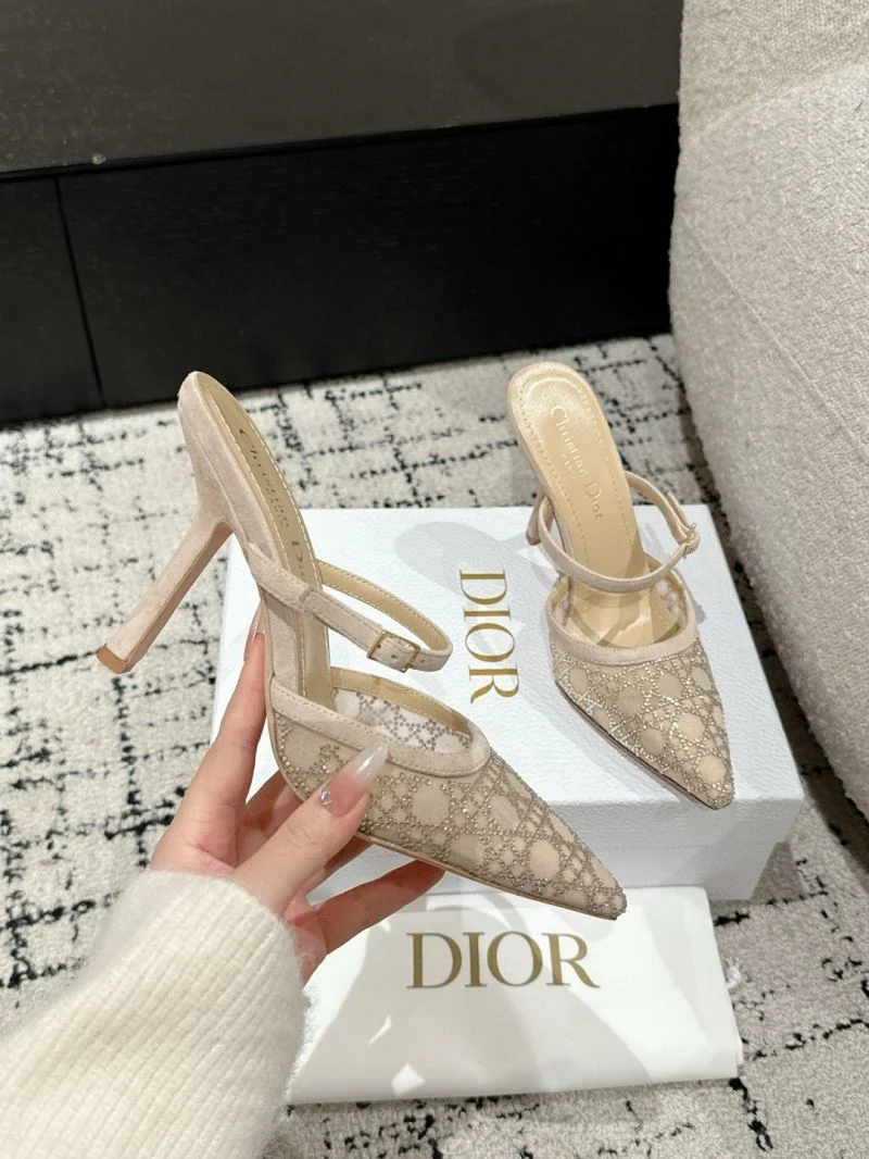 Budget-friendly Christian Dior Slippers