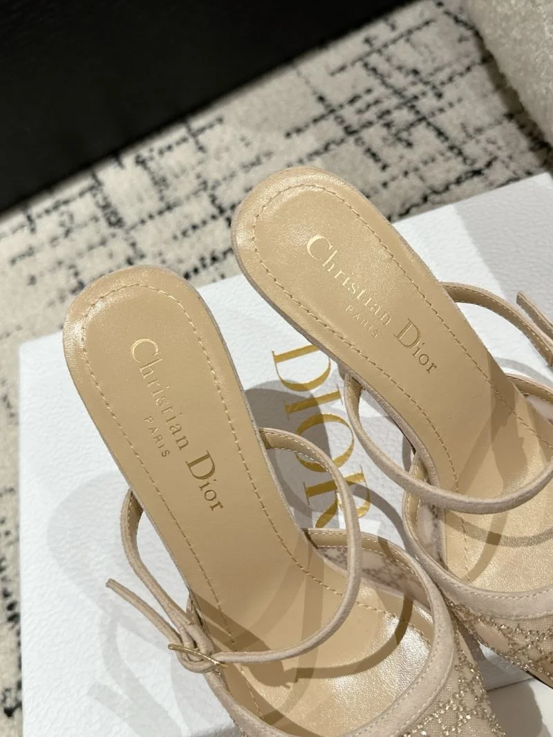 Budget-friendly Christian Dior Slippers