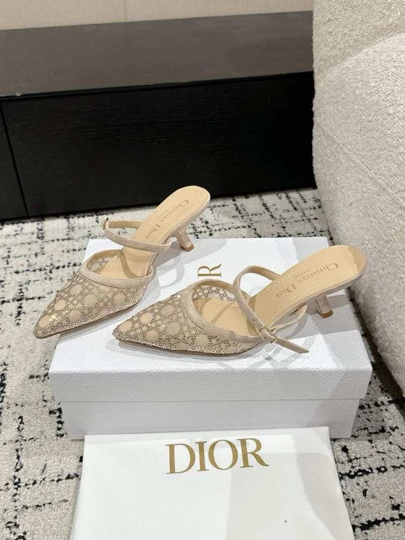 Budget-friendly Christian Dior Slippers