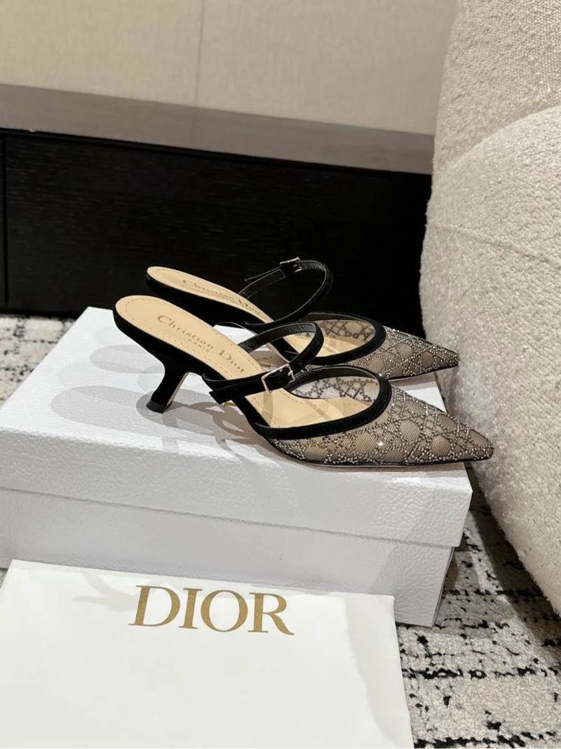 Indistinguishable Christian Dior Slippers