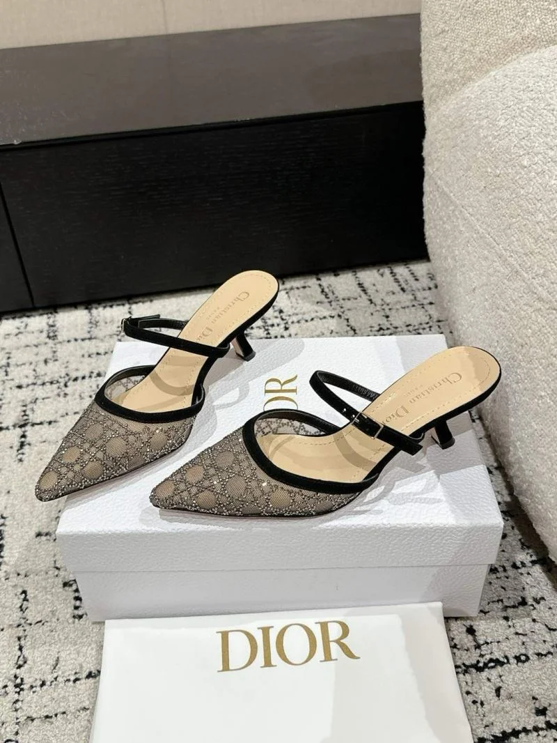 Indistinguishable Christian Dior Slippers