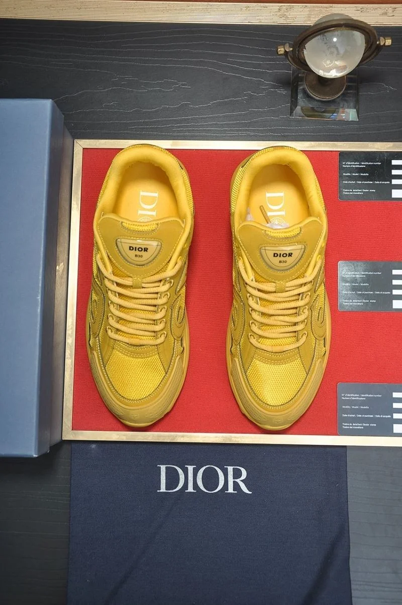 Official Christian Dior Sneaker