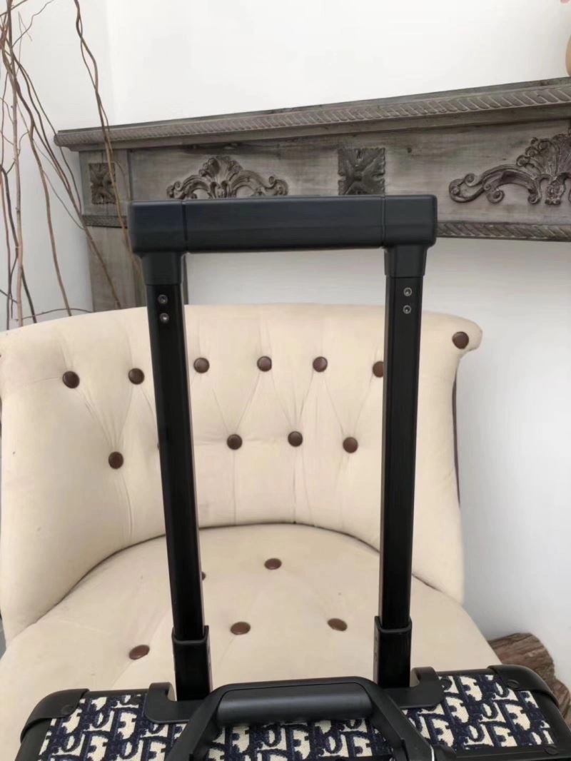 Top mirror Christian Dior Suitcase