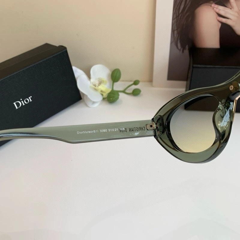 Accurate model Christian Dior Sunglasses