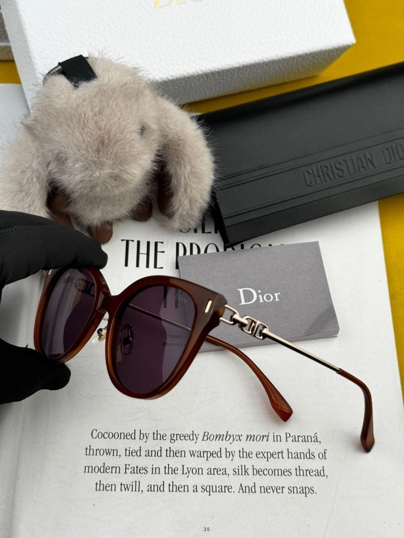 High accuracy Christian Dior Sunglasses